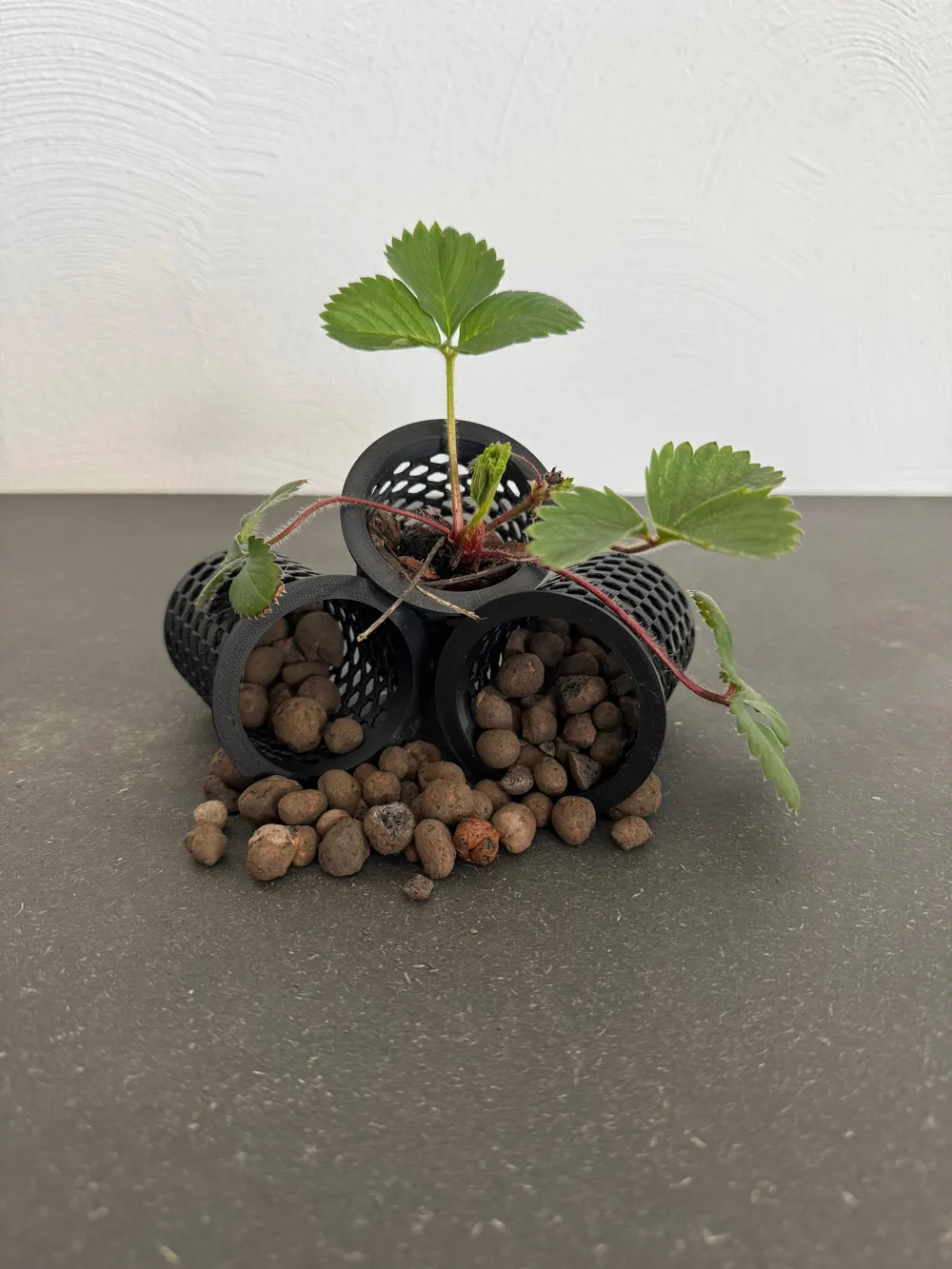 Hydroponic Tower by Oxterhase MakerWorld: Download Free 3D Models