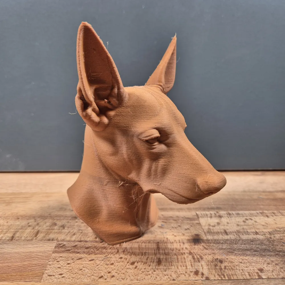 Xoloitzcuintle (Mexican hairless dog) Bust by Mr.Jay MakerWorld ...