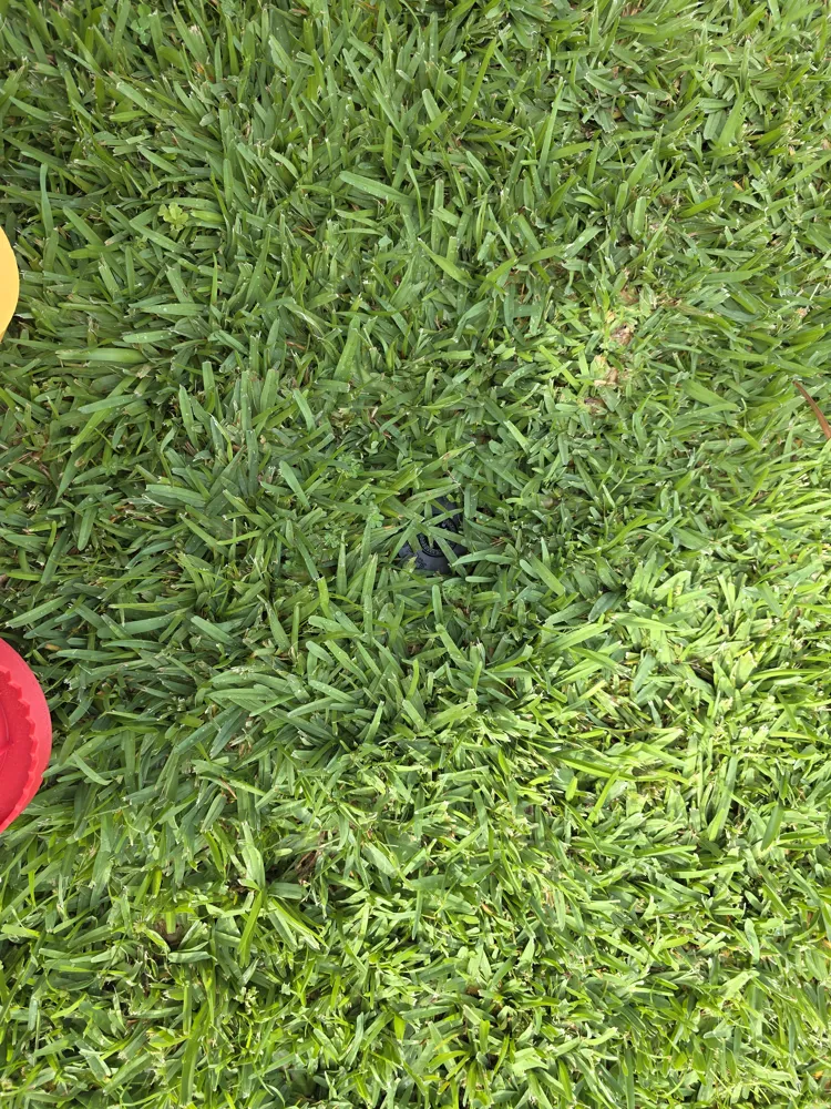 Sprinkler Surround Cutter and Guard by ZhuanMakerWorld: Download Free ...