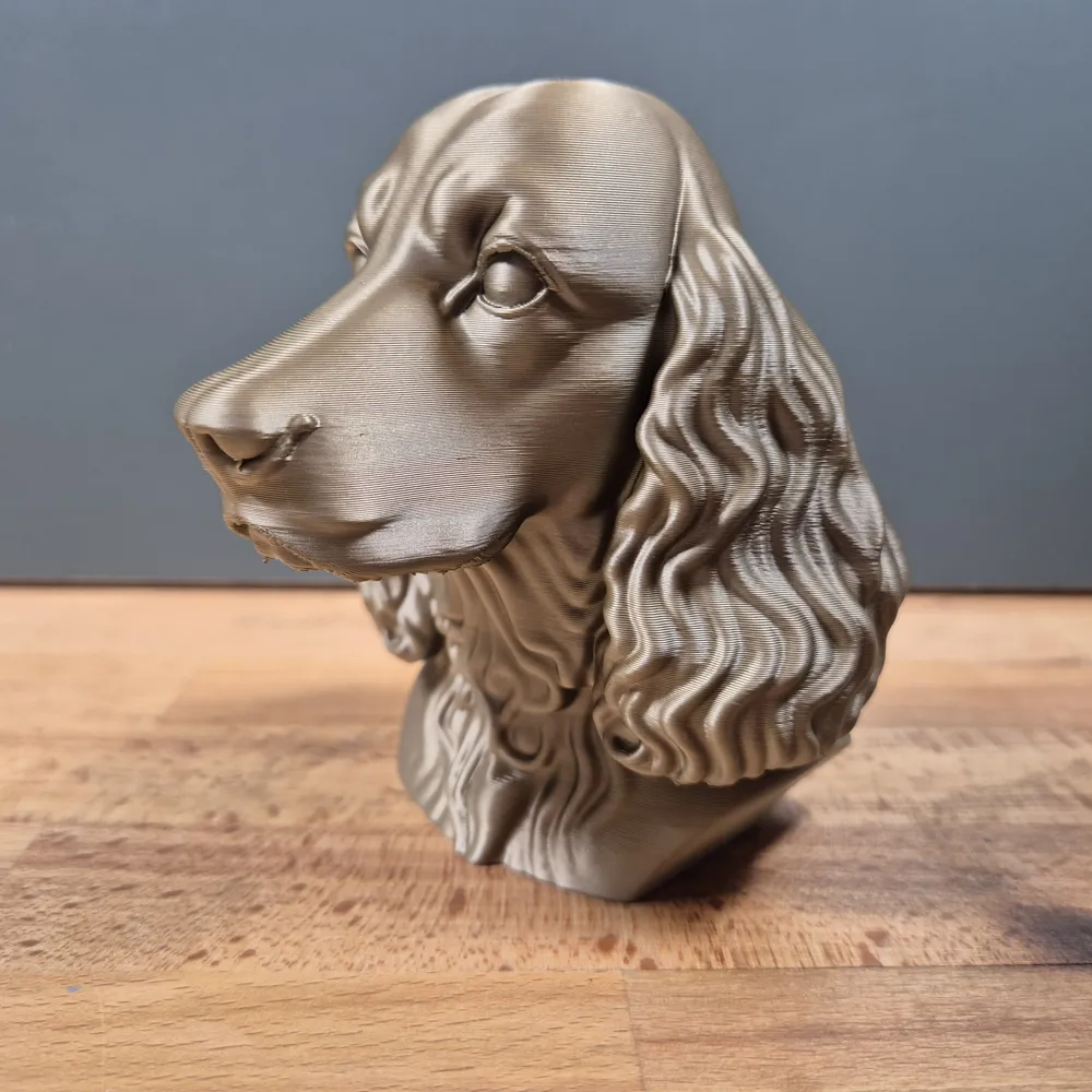 English Springer Spaniel Bust by Mr.Jay MakerWorld: Download Free 3D Models