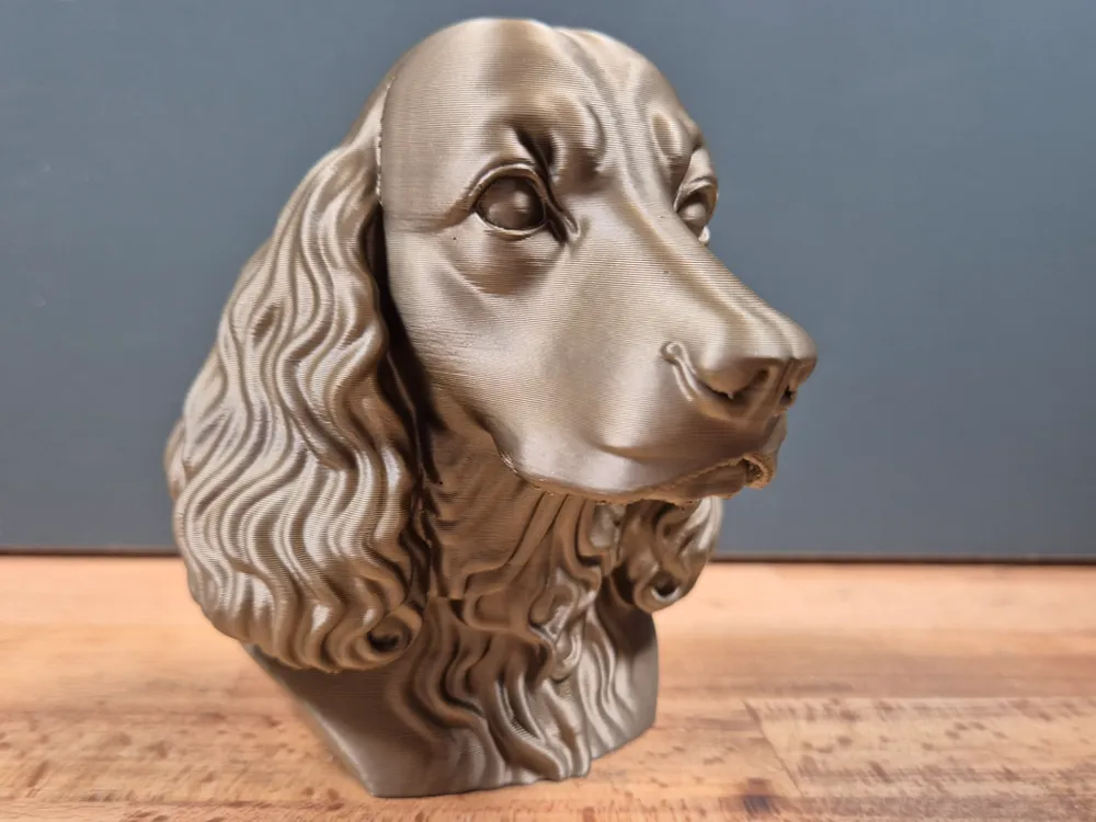 English Springer Spaniel Bust by Mr.Jay MakerWorld: Download Free 3D Models