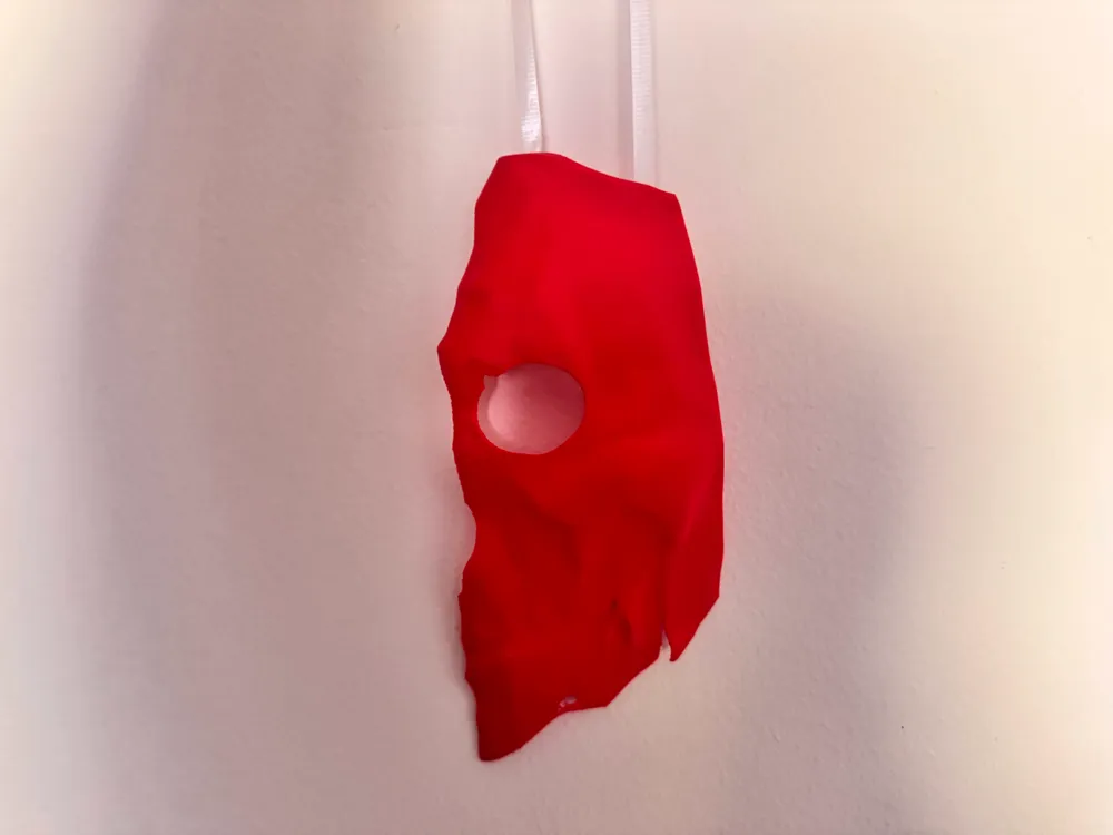 Skinless Half Face Mask by Kopp3D - MakerWorld