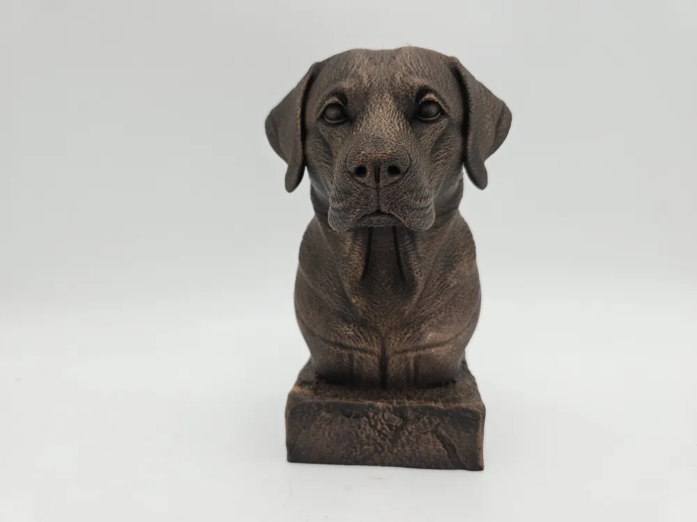 LABRADOR BUST - Free 3D Print Model - MakerWorld