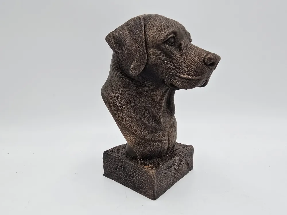 LABRADOR BUST - Free 3D Print Model - MakerWorld