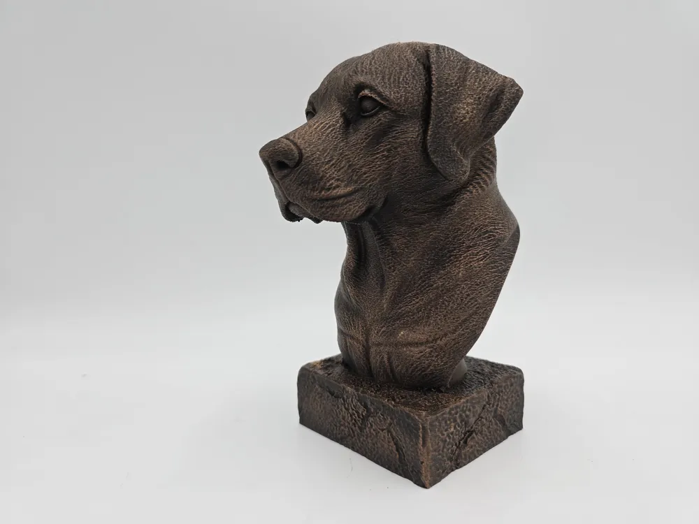 LABRADOR BUST by Messy_Panda MakerWorld: Download Free 3D Models