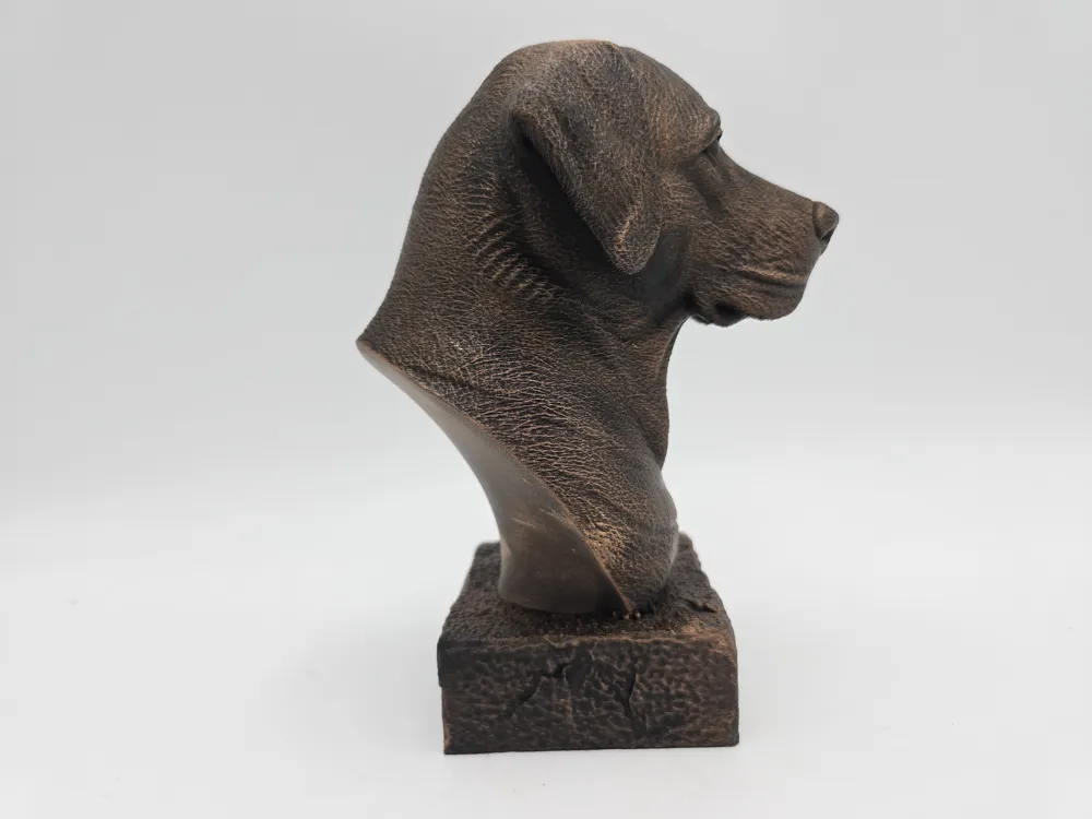 LABRADOR BUST by Messy_Panda MakerWorld: Download Free 3D Models