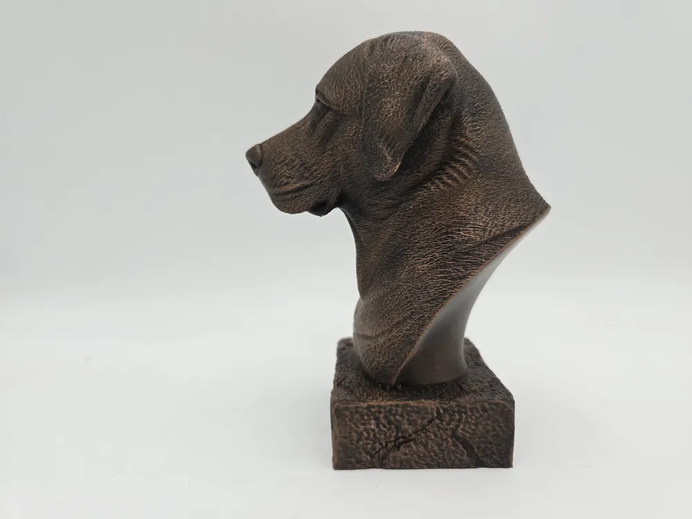LABRADOR BUST by Messy_Panda MakerWorld: Download Free 3D Models