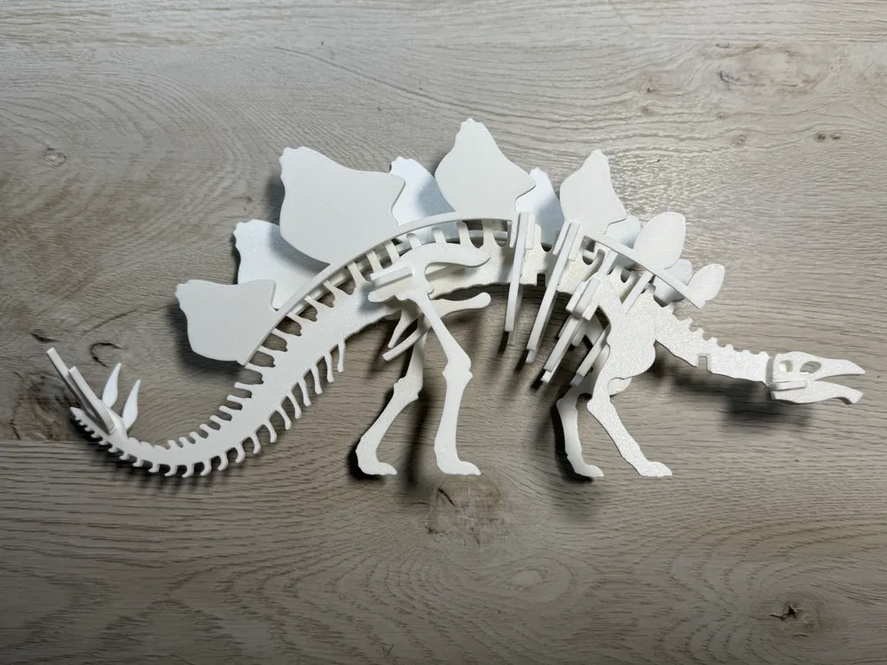 Stegosaurus Dinosaur Skeleton Puzzle Remixed by Hef413 MakerWorld ...