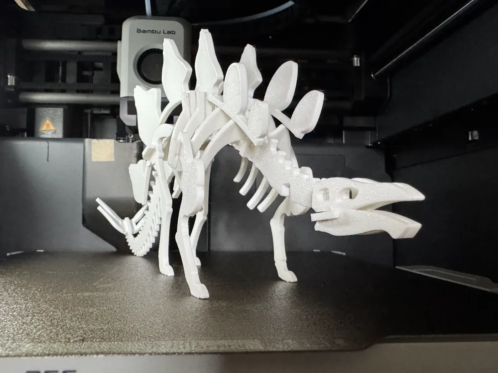 Stegosaurus Dinosaur Skeleton Puzzle Remixed by Hef413 MakerWorld ...