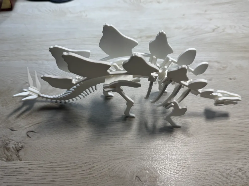 Stegosaurus Dinosaur Skeleton Puzzle Remixed by Hef413 - MakerWorld