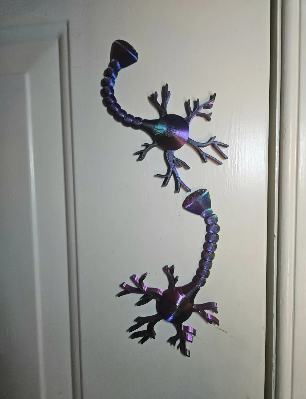 Flexi neuron - Free 3D Print Model - MakerWorld