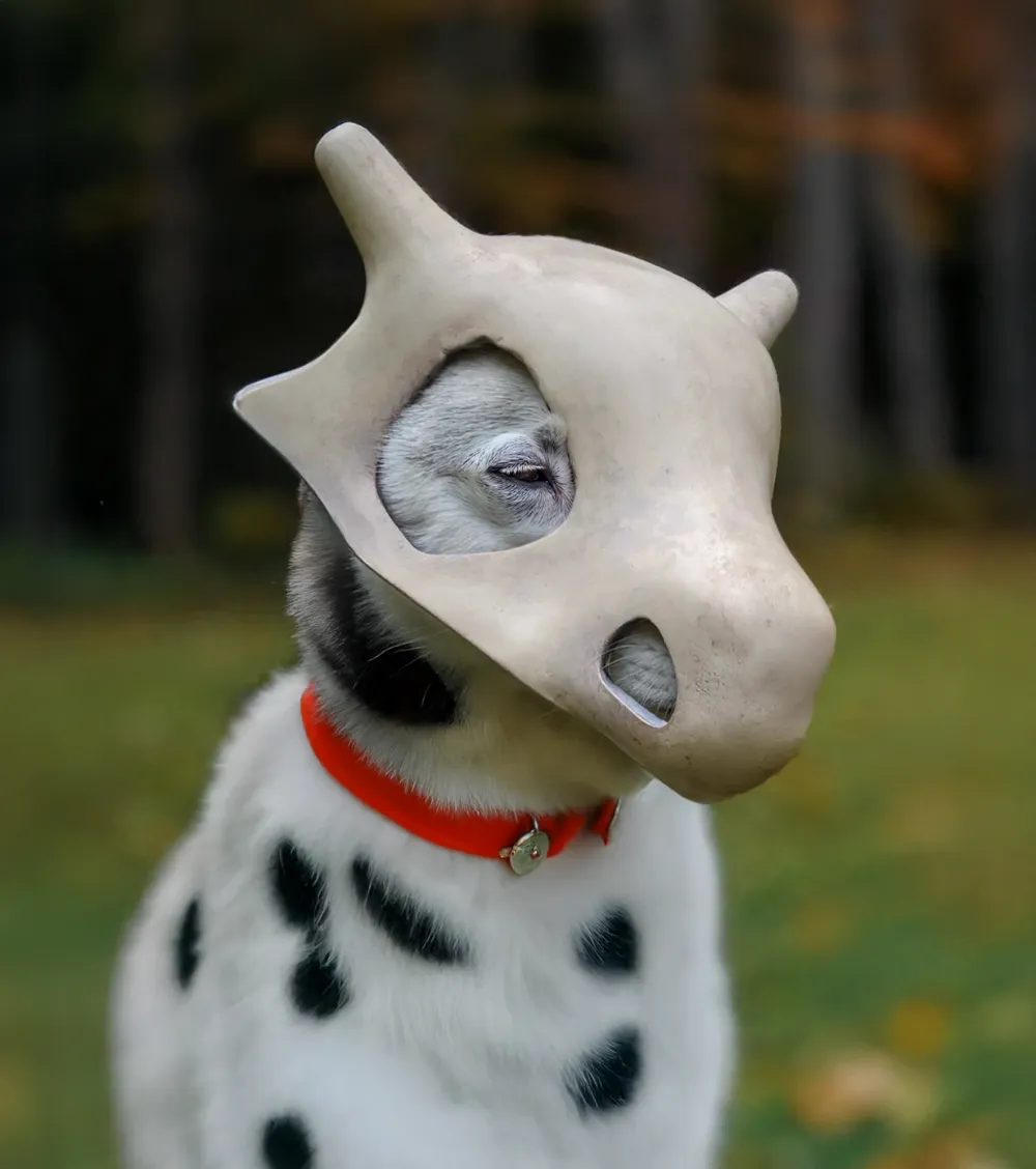 Dog mask (cubone pokemon remix) Remixed by akillelauro MakerWorld ...