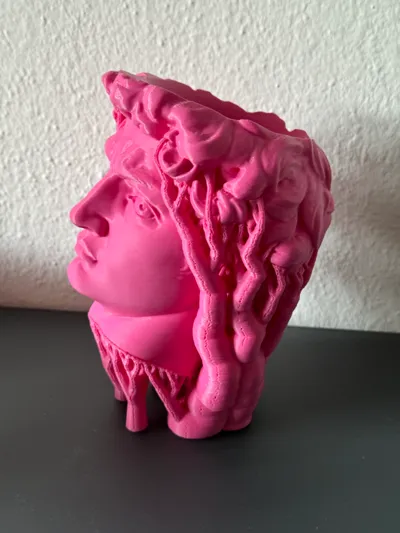 Organic David Planter by HpInvent MakerWorld: Download Free 3D Models