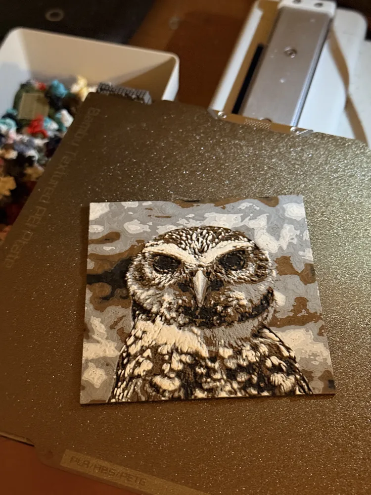 Burrowing Owl - Free 3D Print Model - MakerWorld