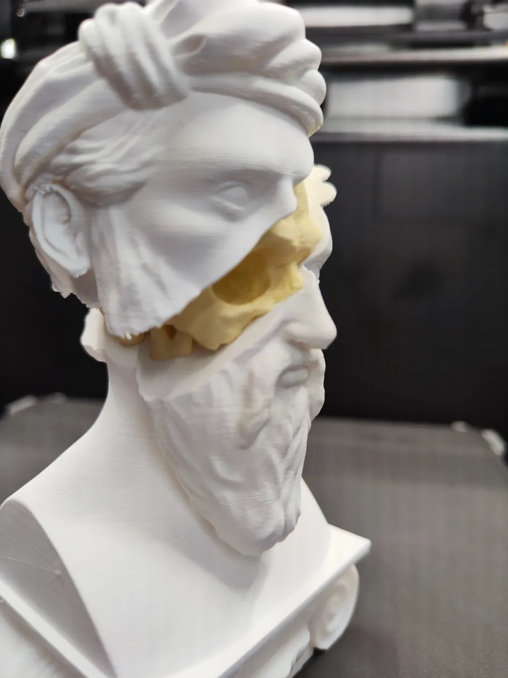 Pythagoras Anatomical Remixed by Creatività in 3D - MakerWorld