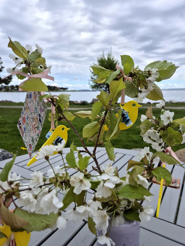 Money bird gift by Emil/Anton MakerWorld: Download Free 3D Models