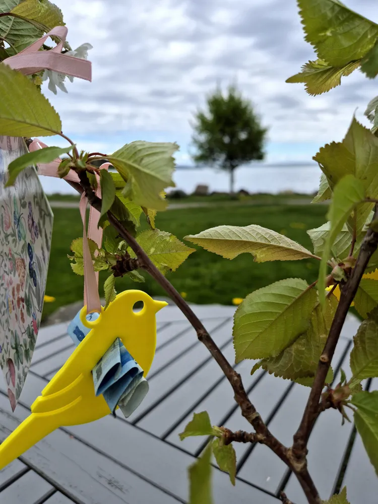 Money bird gift by Emil/Anton MakerWorld: Download Free 3D Models