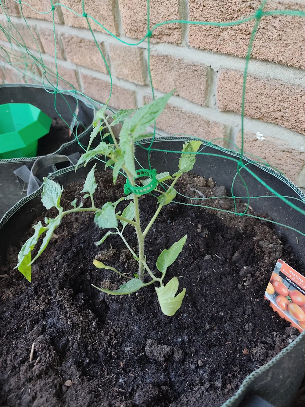 Tomato Clip - Free 3D Print Model - MakerWorld