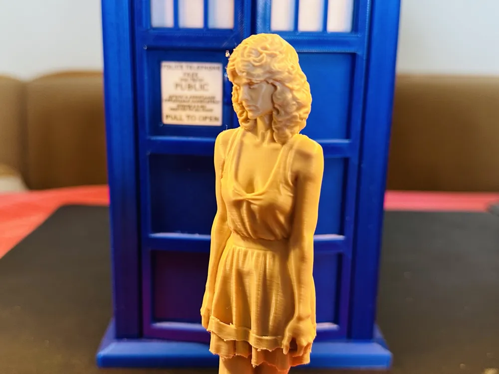Nyssa of Traken – Doctor Who – 1:10 Scale Figure - Free 3D Print Model ...