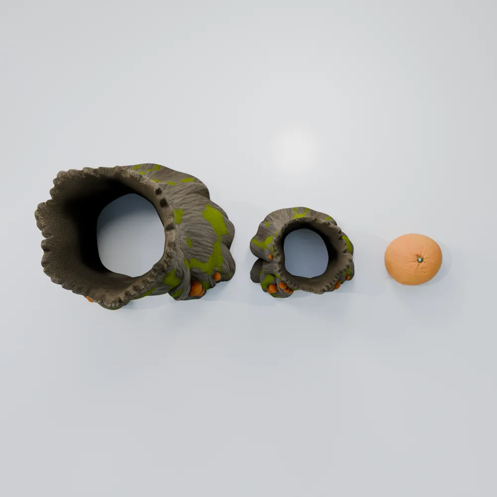 Hollow Tree Stump Hide with Mushrooms | Tropical - Free 3D Print Model ...