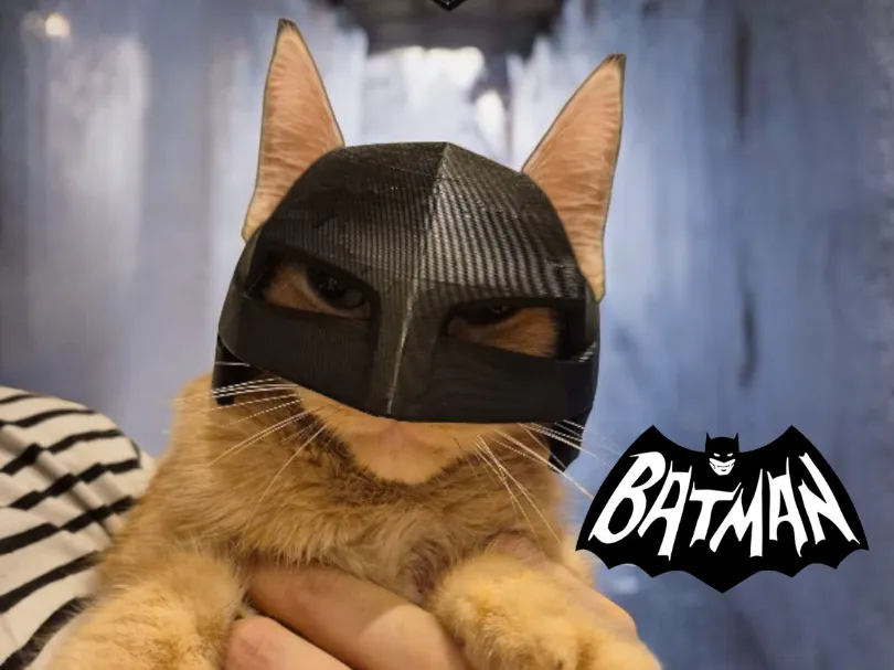 Catman X Superman / Batman Mask by Zentral_E MakerWorld: Download Free ...