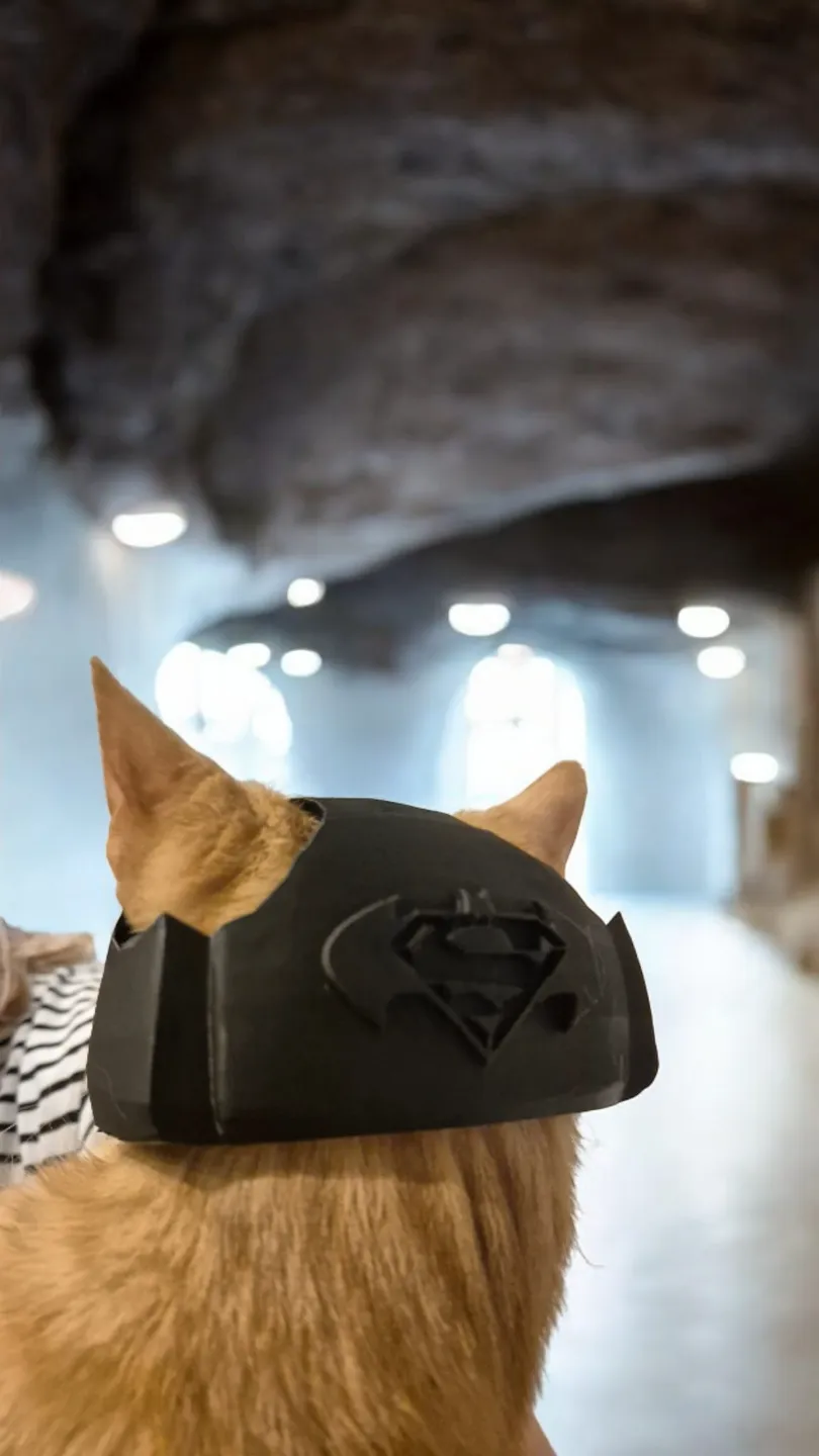 Catman X Superman / Batman Mask by Tobbse612 - MakerWorld