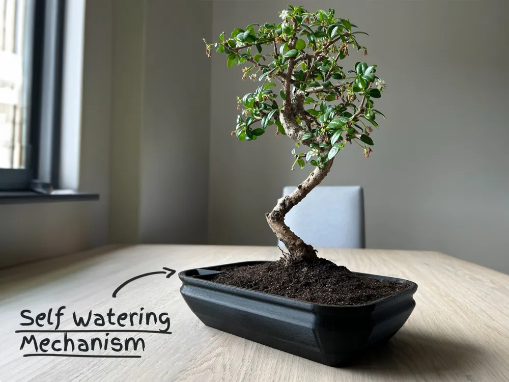 Self-watering Bonsai Planter Pot by 3DDoc - MakerWorld