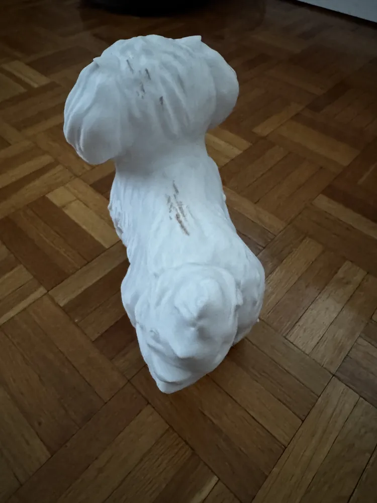 Maltese - Dog - Free 3D Print Model - MakerWorld