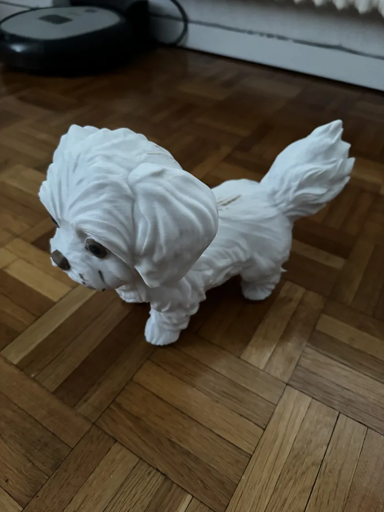 Maltese - Dog - Free 3D Print Model - MakerWorld