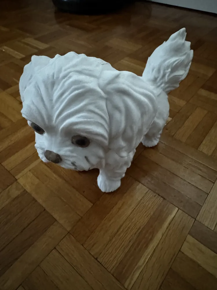Maltese - Dog - Free 3D Print Model - MakerWorld