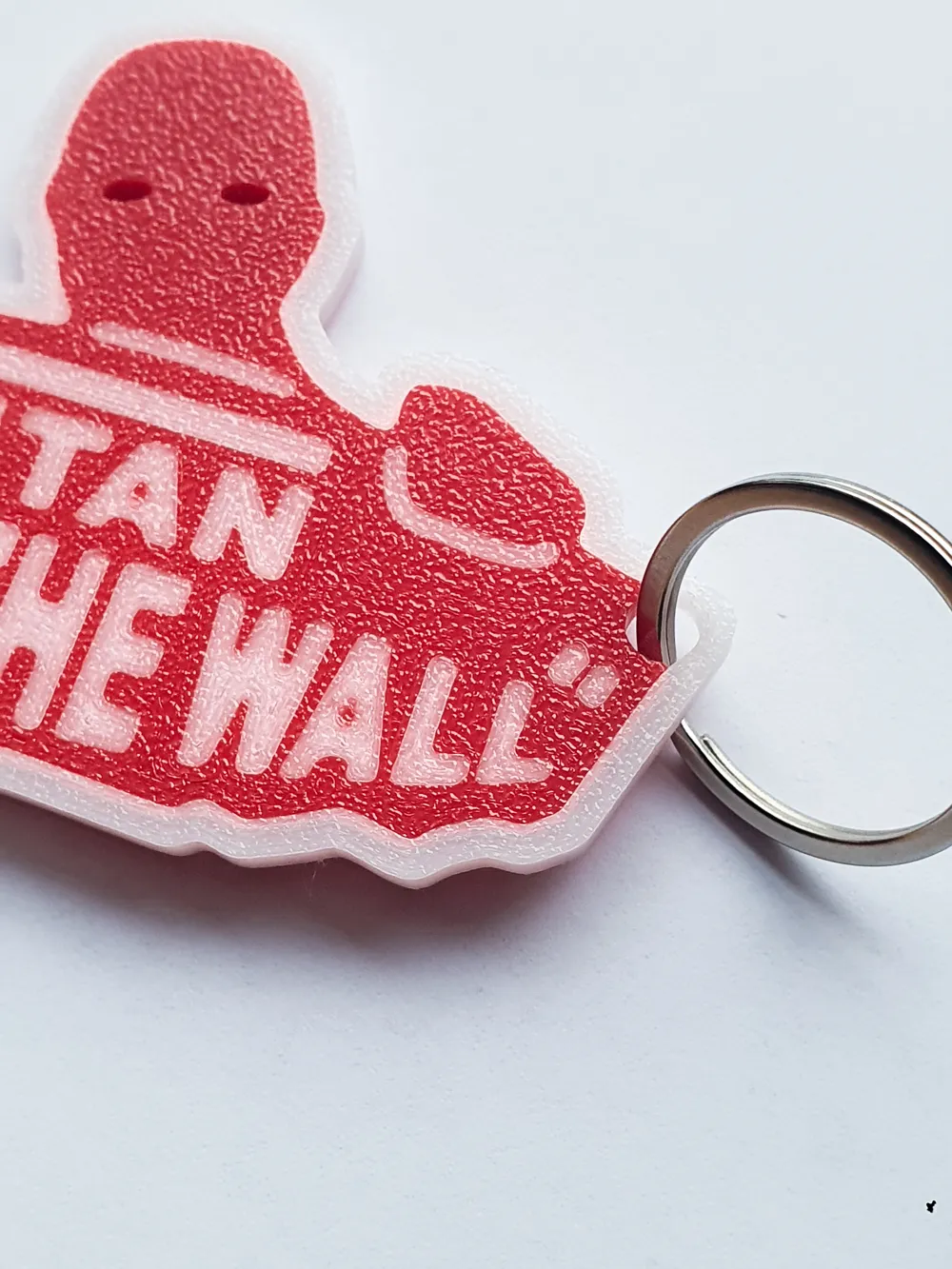 Attack on Titan x Vans keychain parody - Free 3D Print Model - MakerWorld