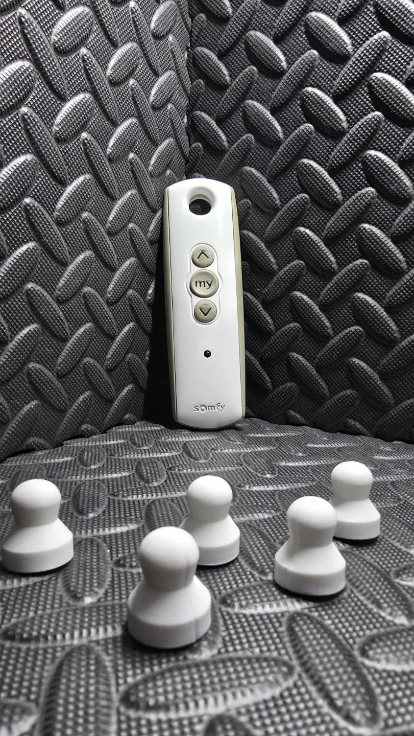 Somfy Telis Remote Control Holder by chtanaki - MakerWorld