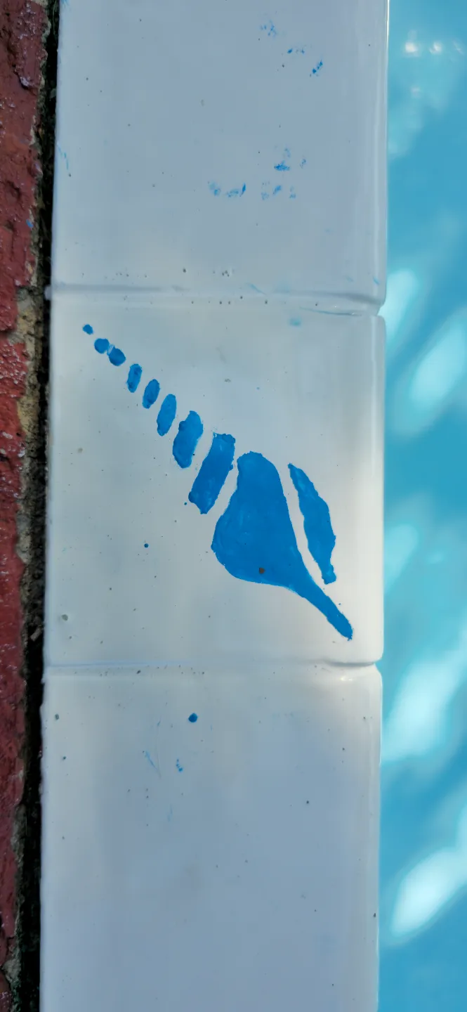 Seashell stencils by BlurryReptile - MakerWorld