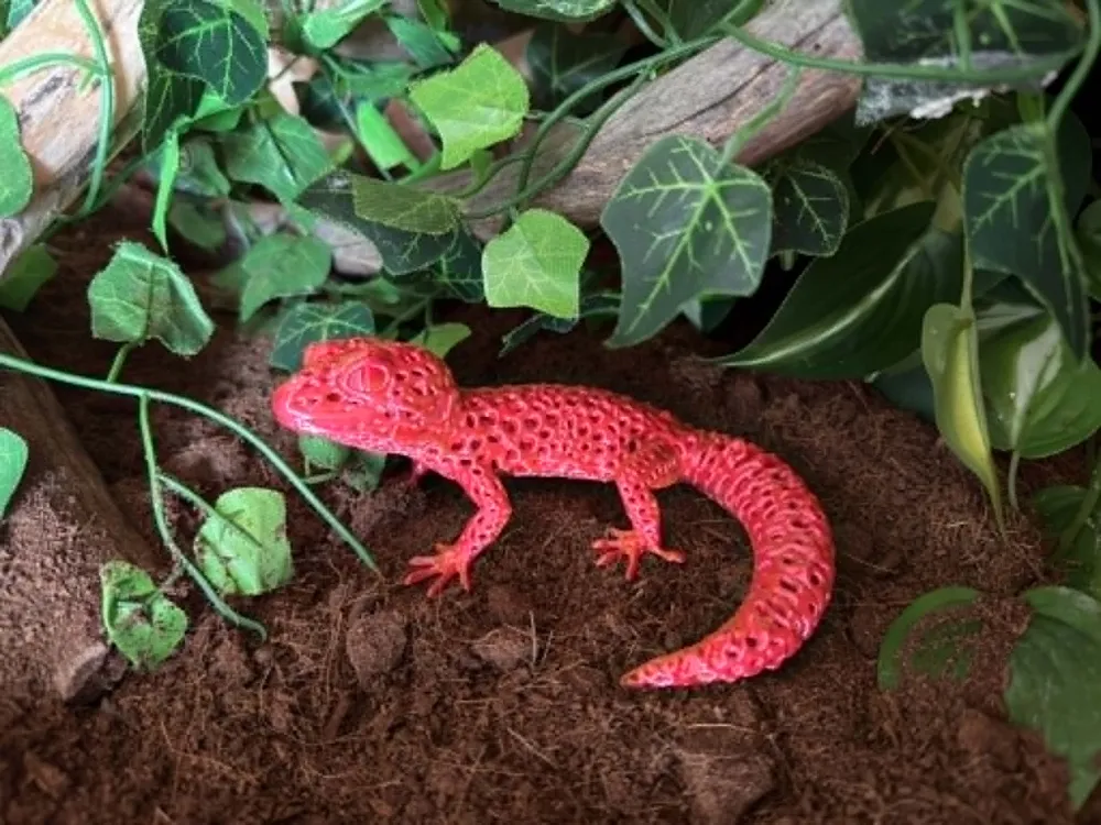 Gecko Leopard - Free 3D Print Model - MakerWorld