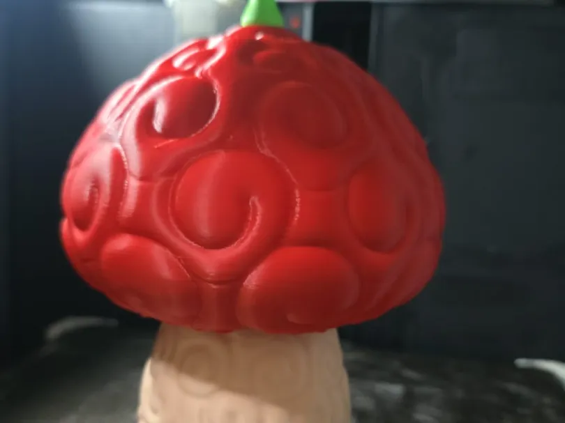 Hito Hito no Mi Chopper’s Devil Fruit - One Piece - Free 3D Print Model ...