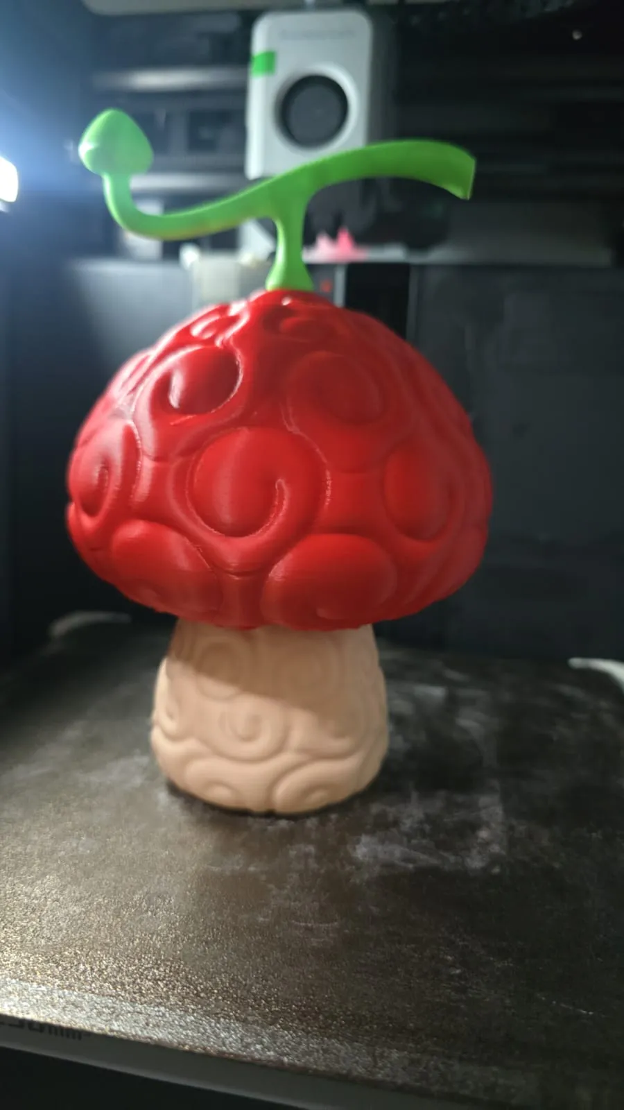 Hito Hito no Mi Chopper’s Devil Fruit - One Piece - Free 3D Print Model ...