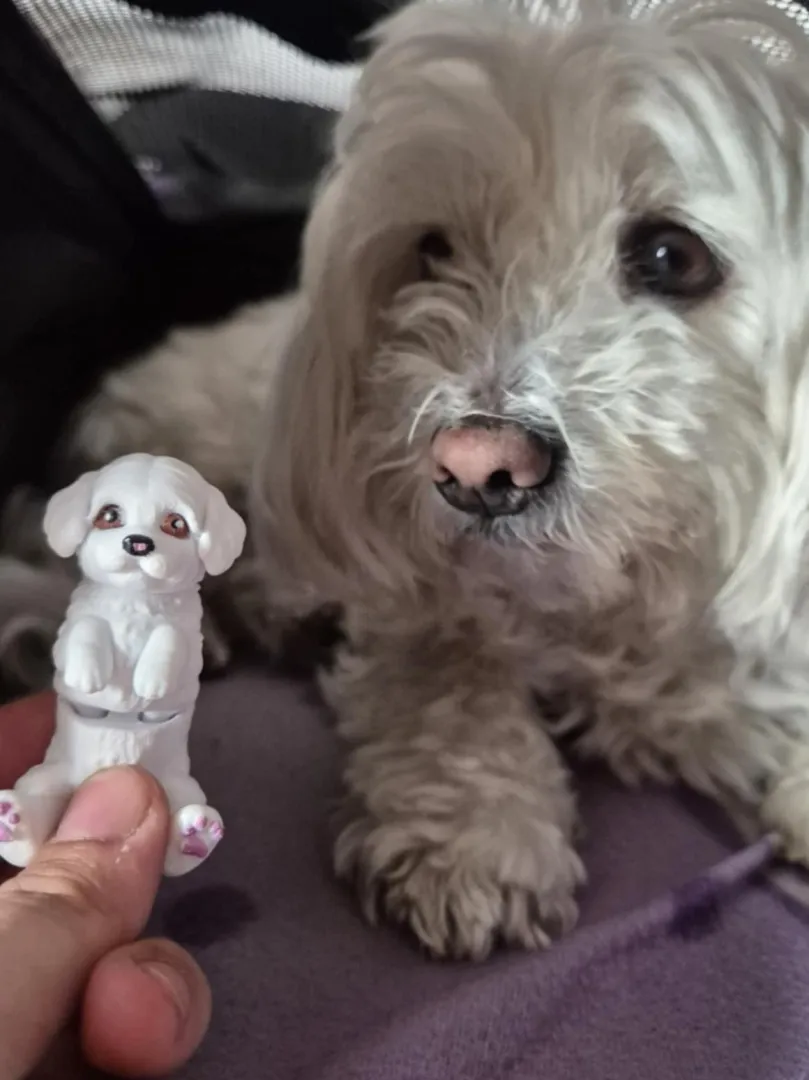 Maltese Keychain – Articulated pet friend - Free 3D Print Model ...