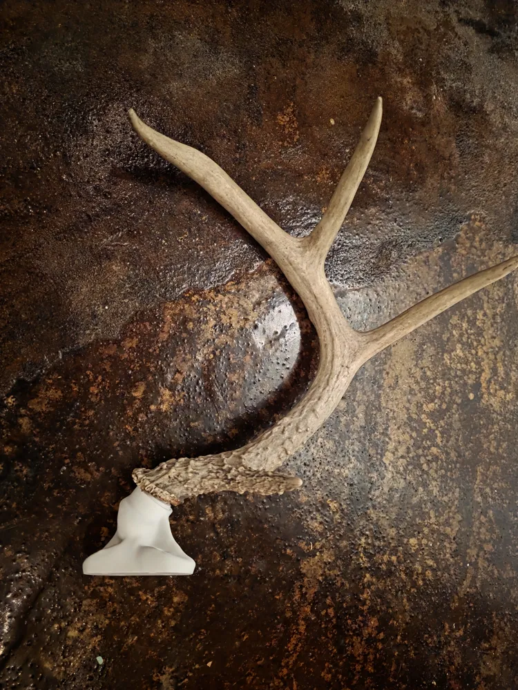 Deer Antler Wall Mount Bracket - Snap Feature by DTM247 MakerWorld ...