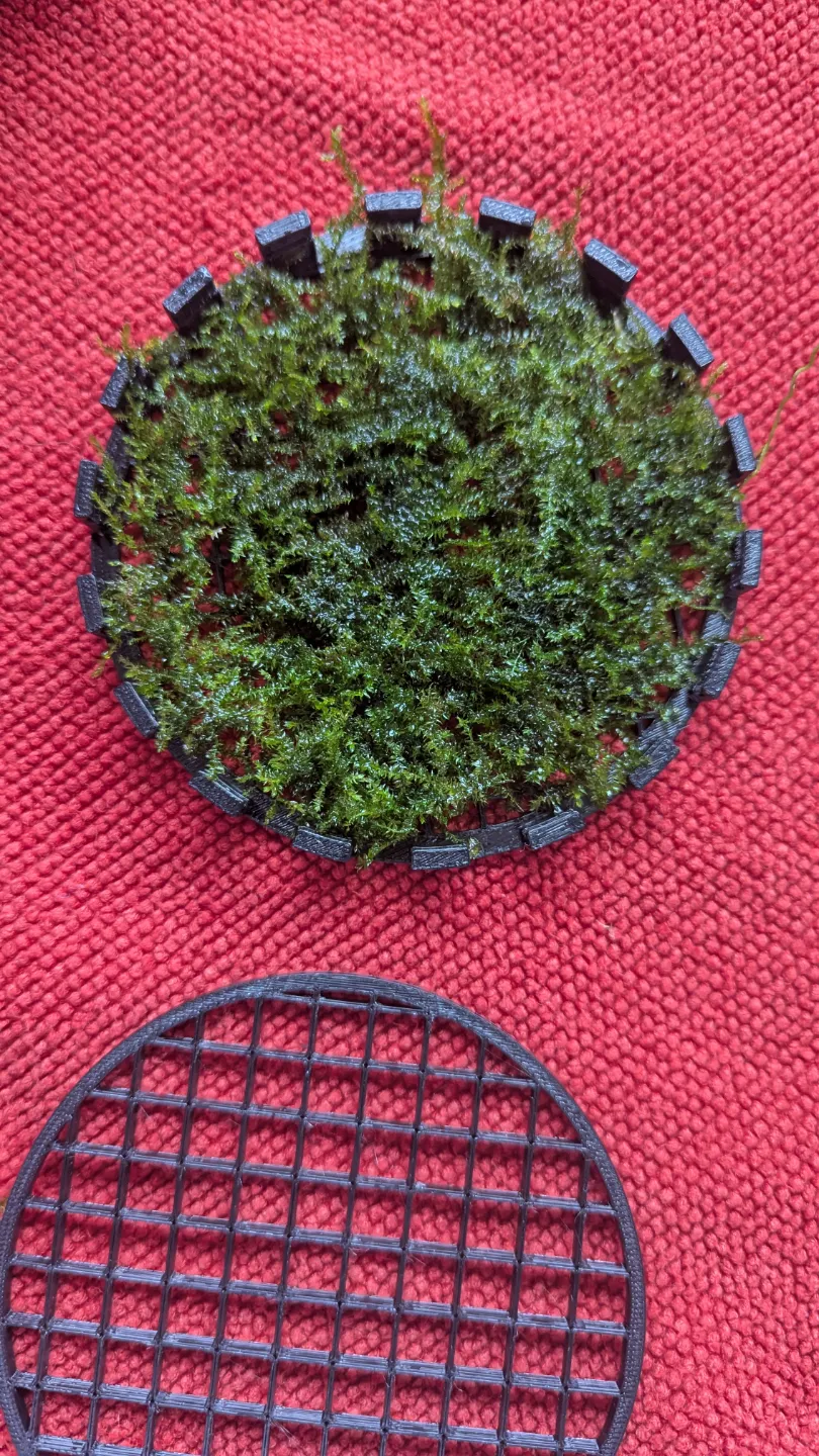Moss plate cage aquarium by U Ser - MakerWorld