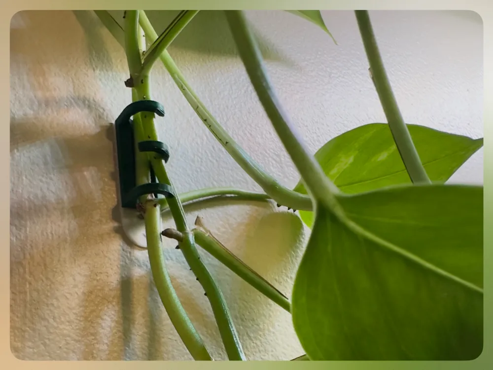 Simple Wall Clip for Climbing Plants - Free 3D Print Model - MakerWorld