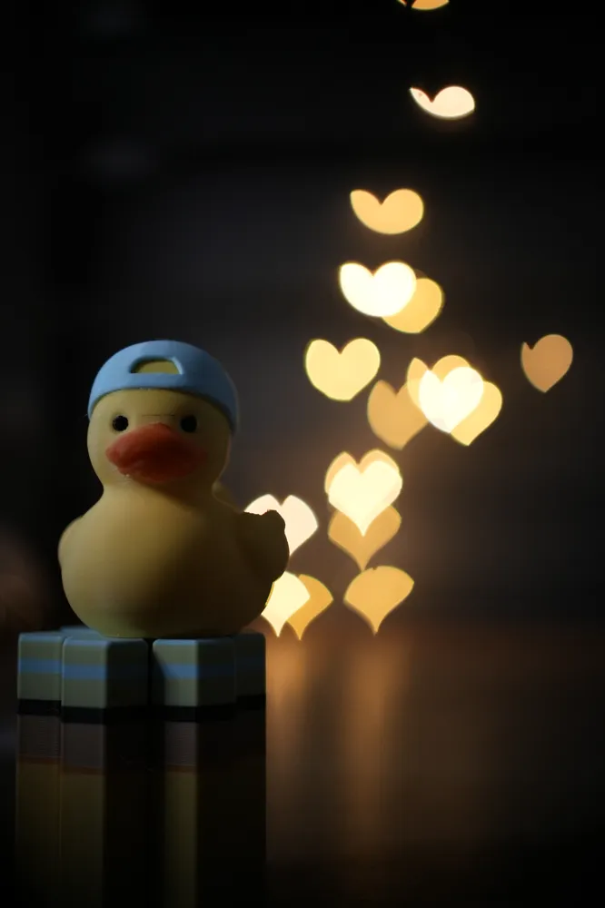 Bokeh Effect Filter with Adapter - Free 3D Print Model - MakerWorld