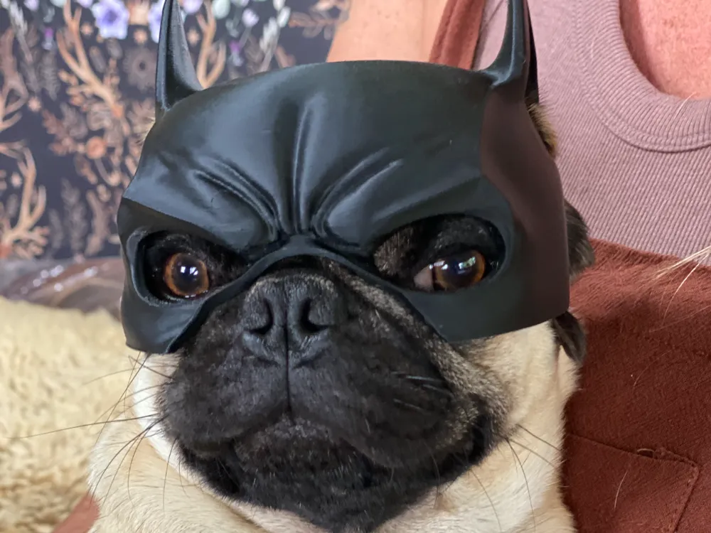 Batman Dog Mask for Short-Nosed Breeds - Free 3D Print Model - MakerWorld
