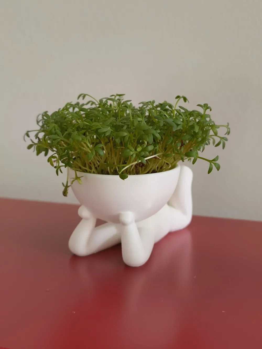 flower pot man 2 by Jerry93 MakerWorld: Download Free 3D Models