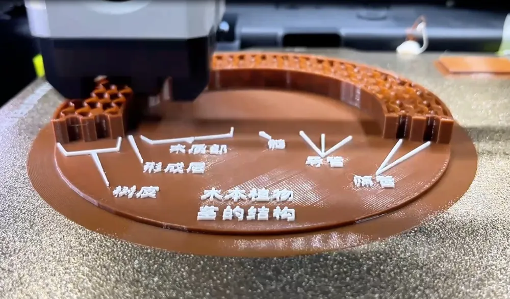 [Stem structure of woody plants in Junior High School Biology] by 炒面xd ...