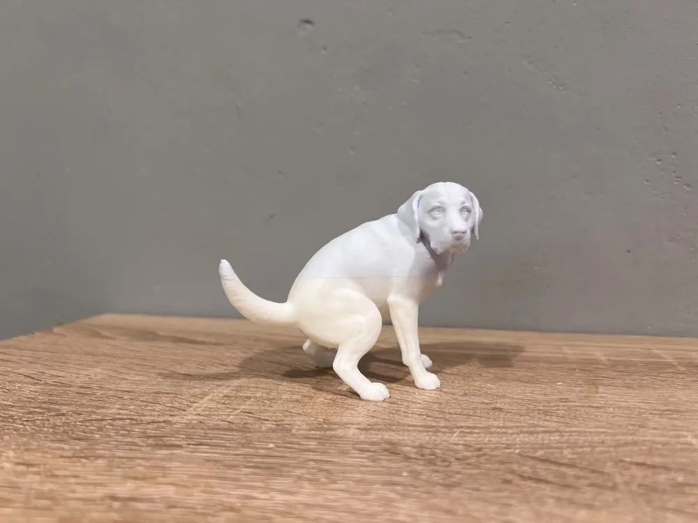 Pooping Labrador Retriever - Animal - Dog - Free 3D Print Model ...