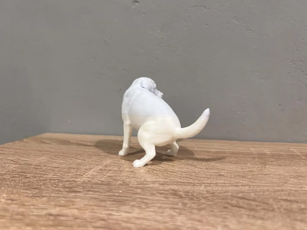 Pooping Labrador Retriever - Animal - Dog - Free 3D Print Model ...
