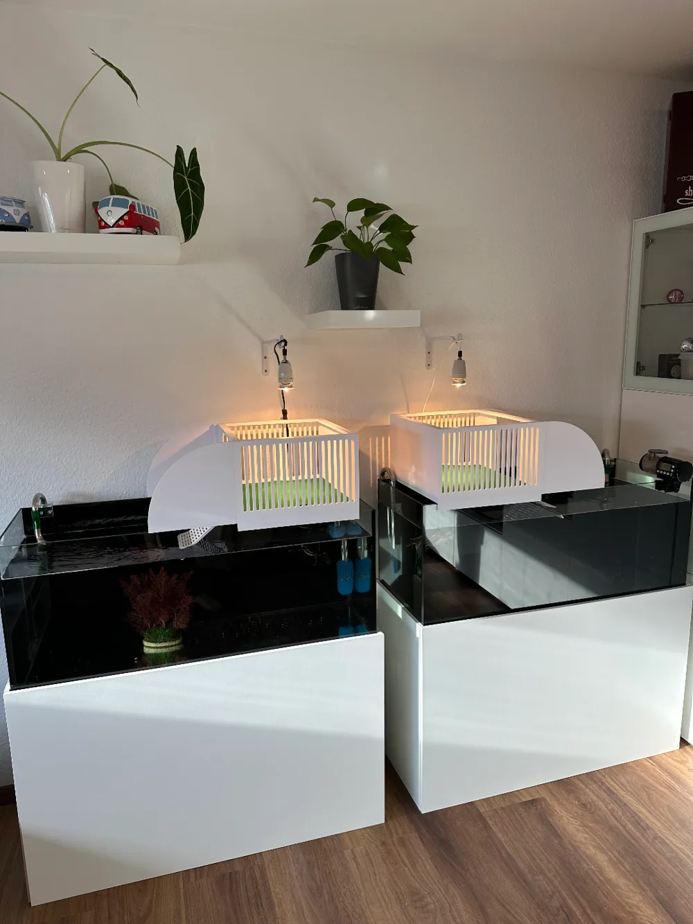 Land Area for Aquatic Turtles - Free 3D Print Model - MakerWorld