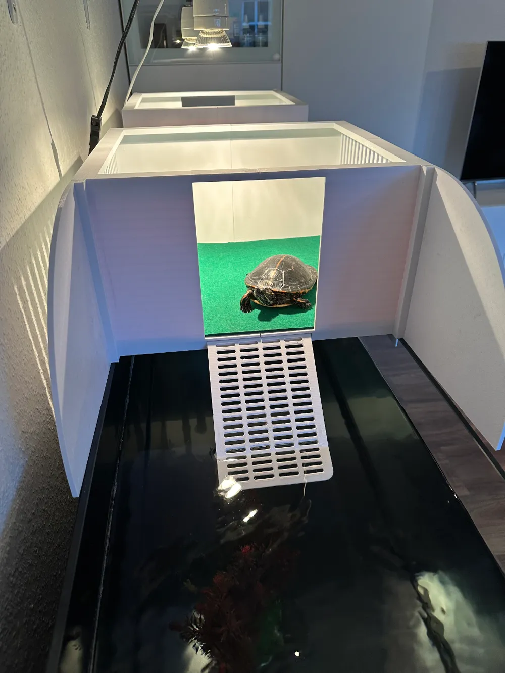 Land Area for Aquatic Turtles - Free 3D Print Model - MakerWorld