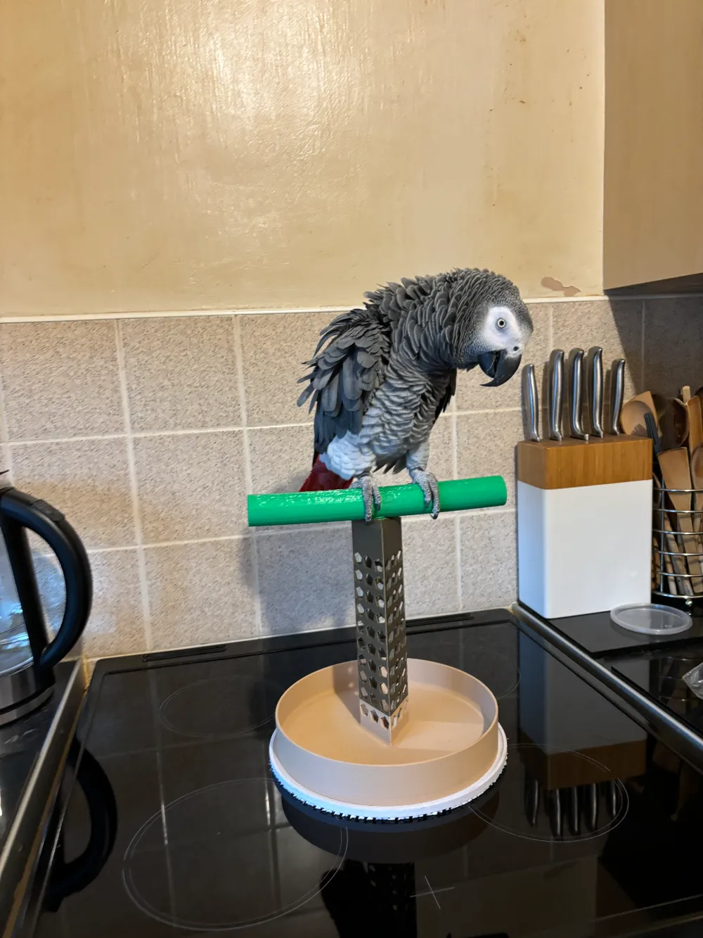 Parrot Perch - Free 3D Print Model - MakerWorld
