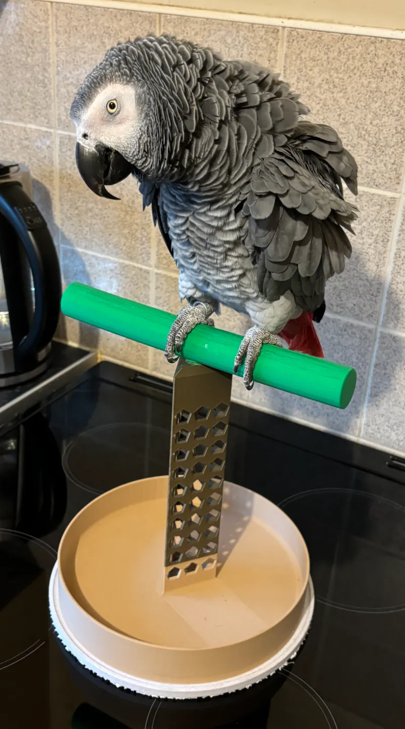 Posadero para Perico por MB3D X1C A1 mini MakerWorld: Descarga Modelos ...